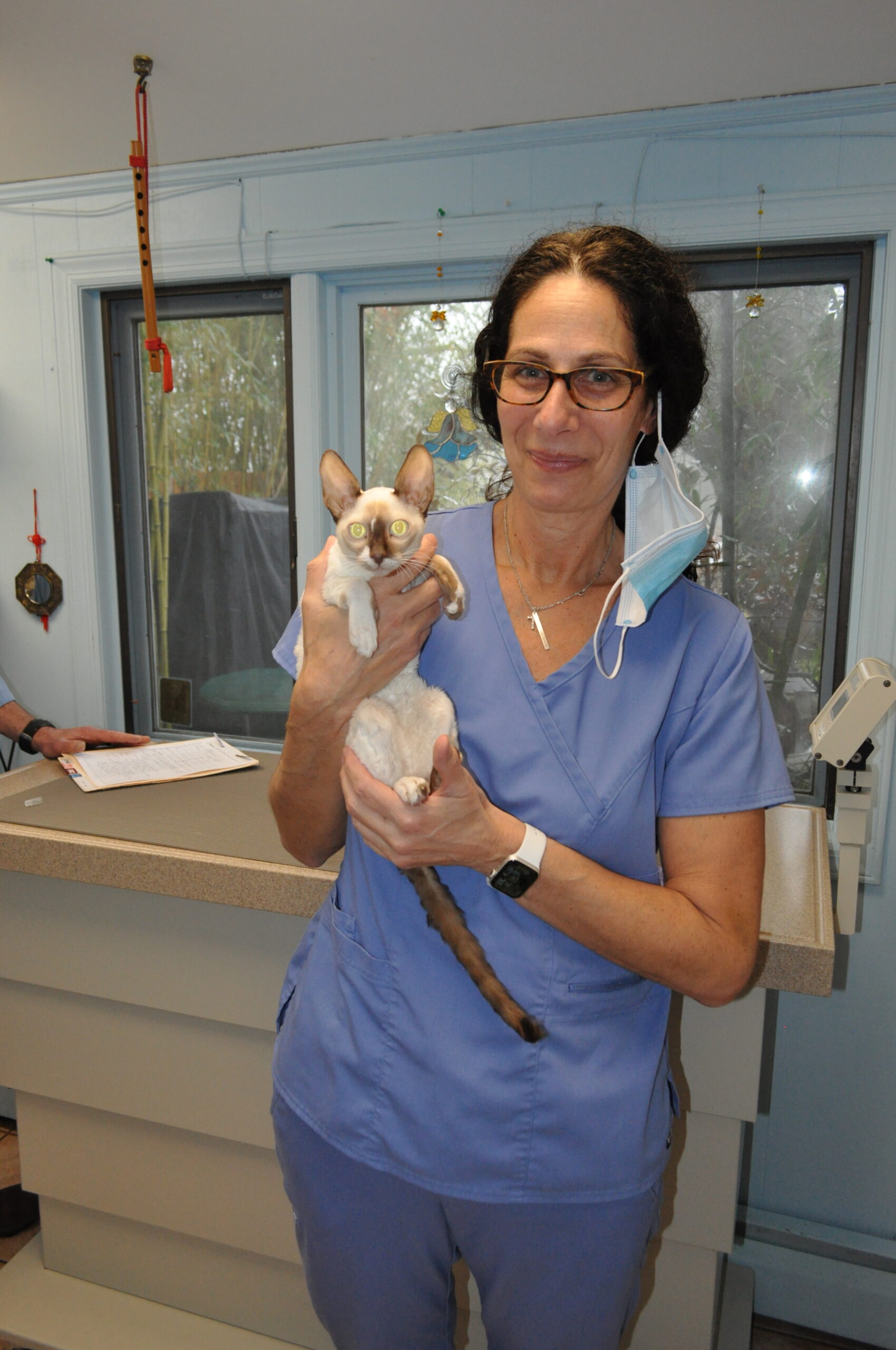 Skye! – Morris Hills Veterinary Clinic