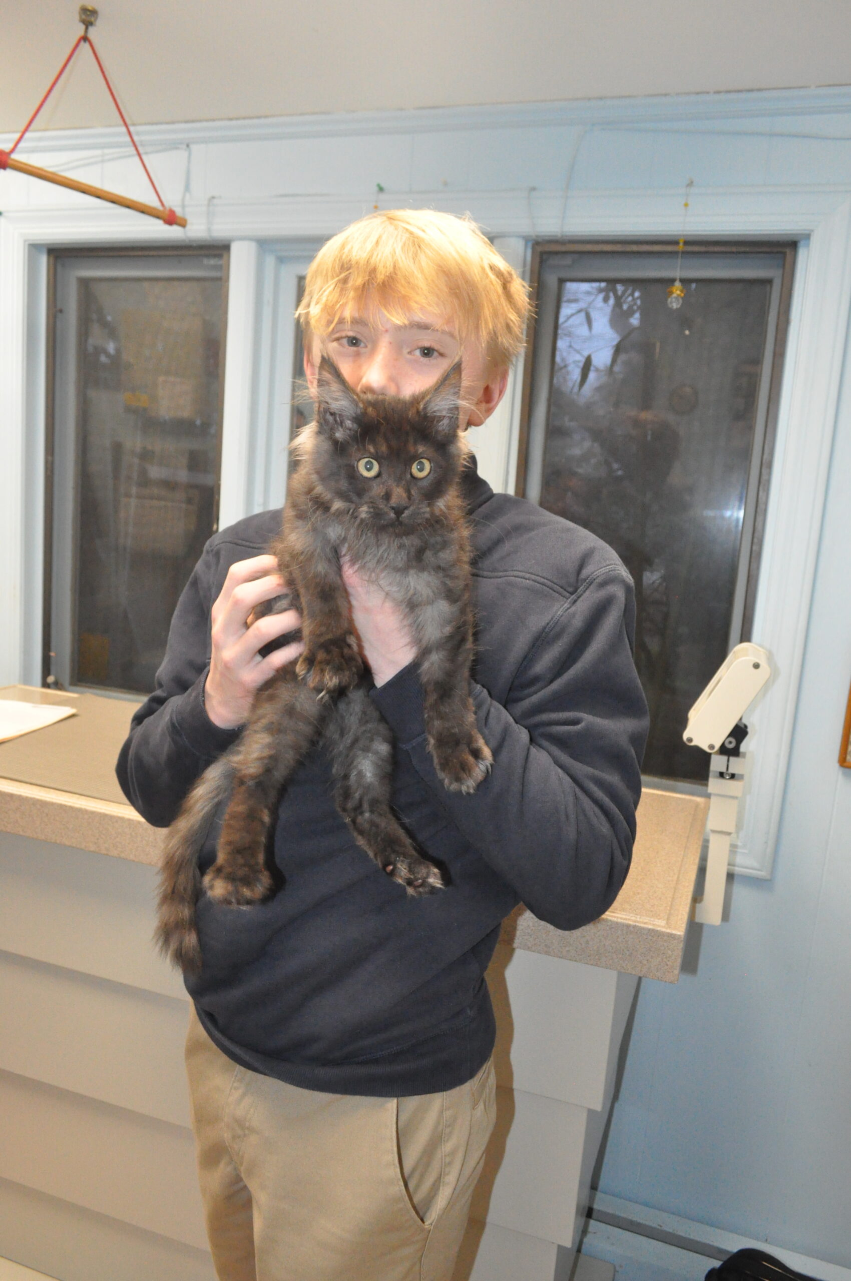 Sebastian! – Morris Hills Veterinary Clinic