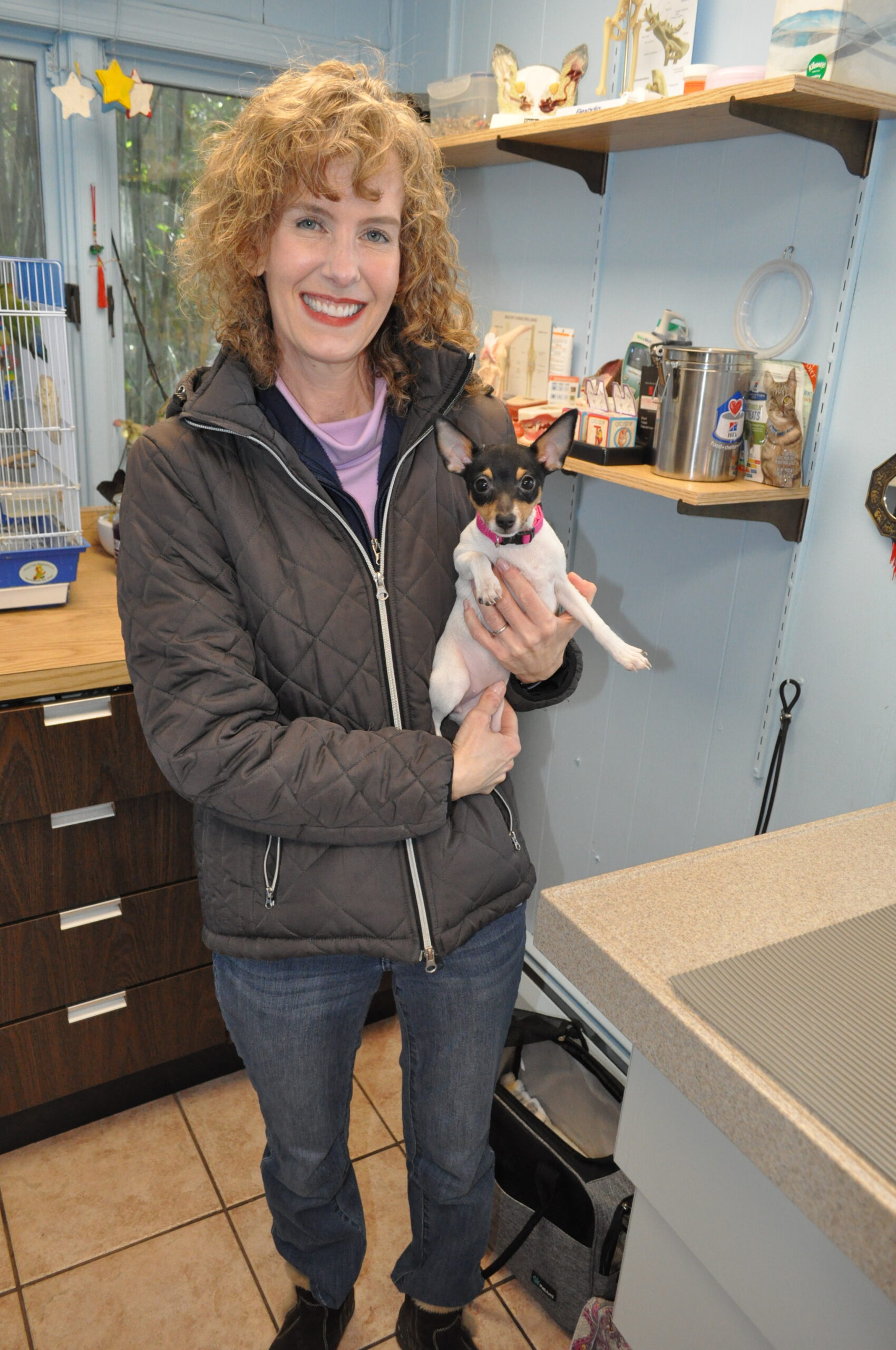 Hailey! – Morris Hills Veterinary Clinic