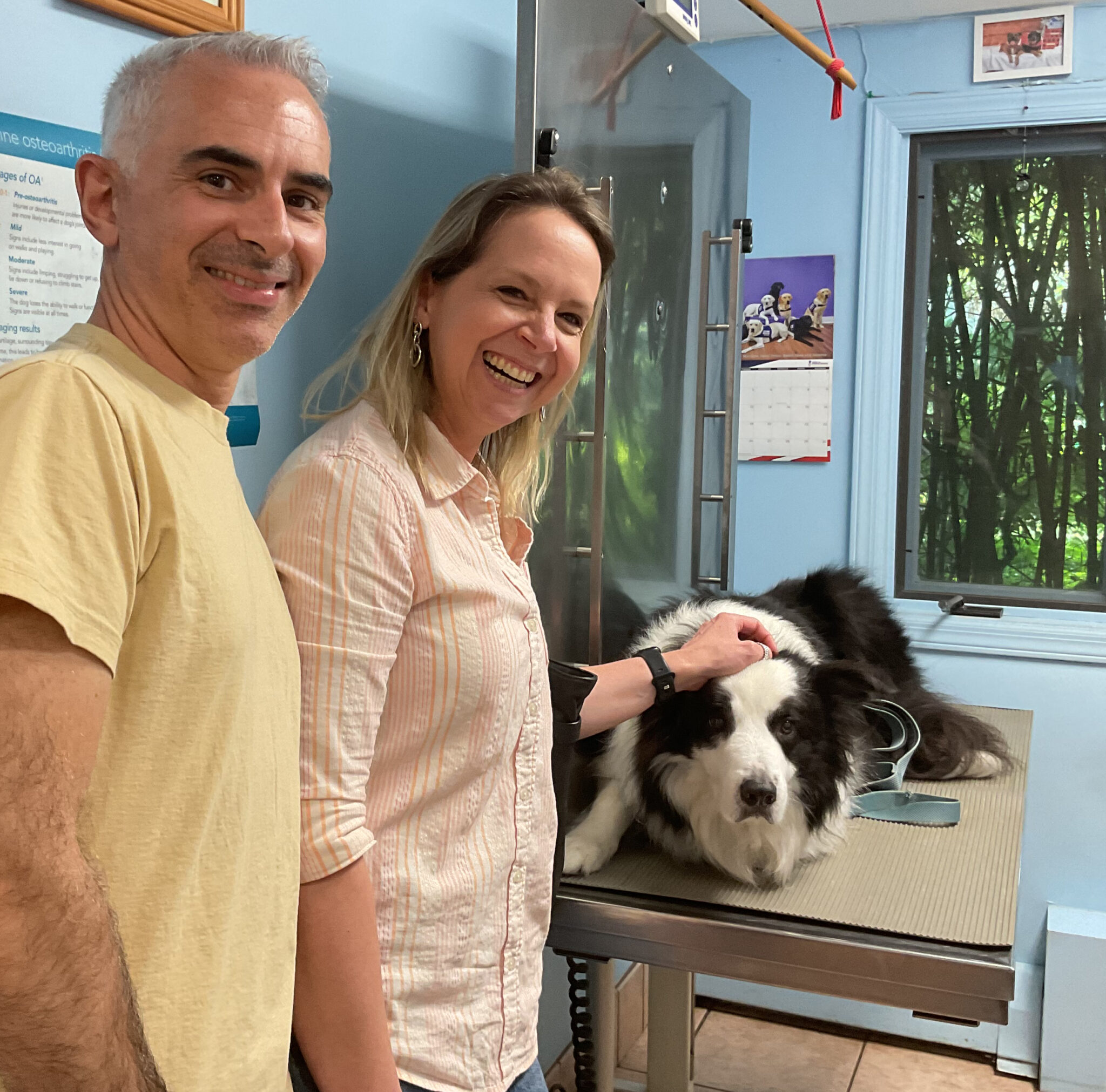 Bolt! – Morris Hills Veterinary Clinic